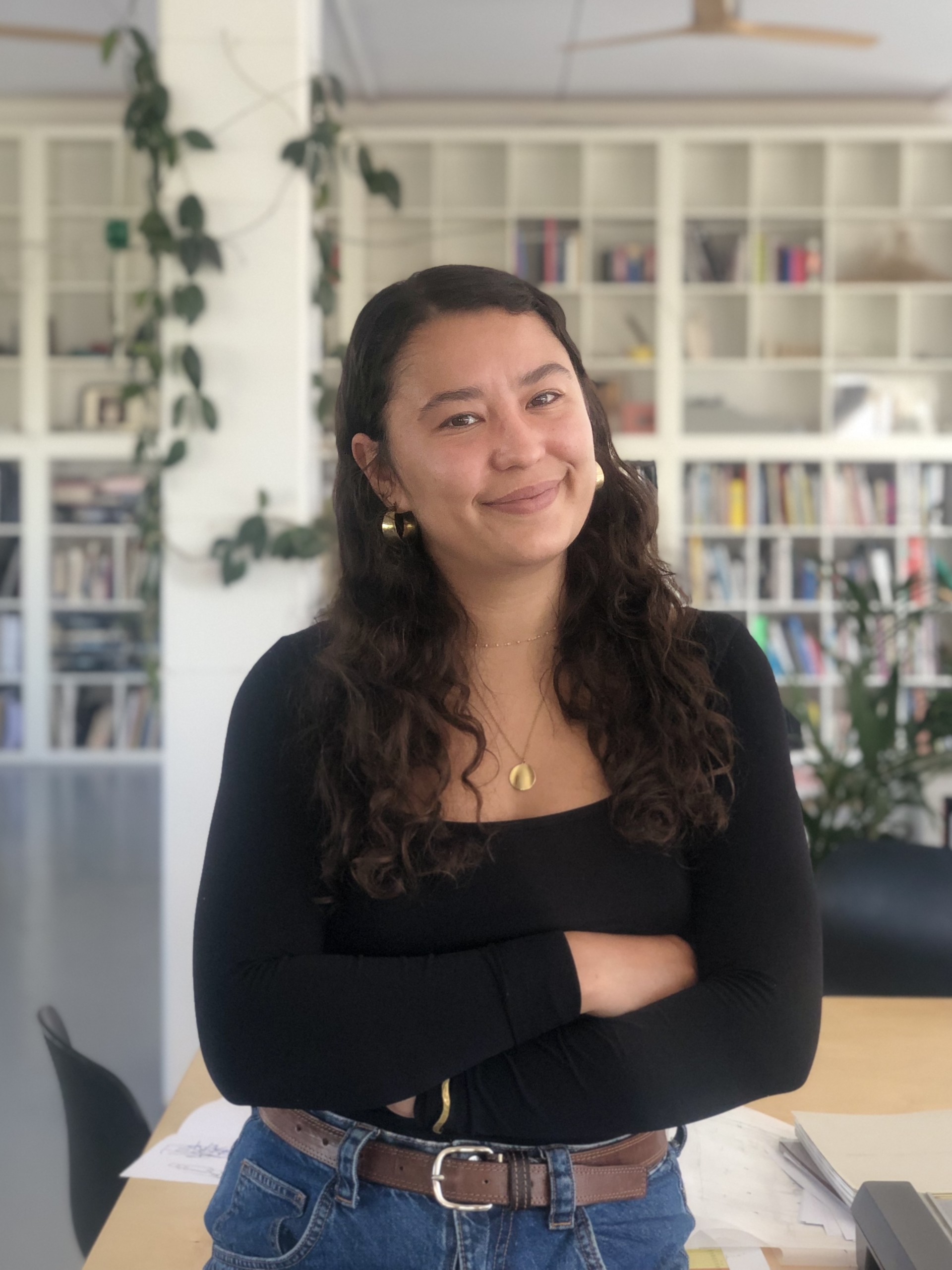 Atelier - Projectiles